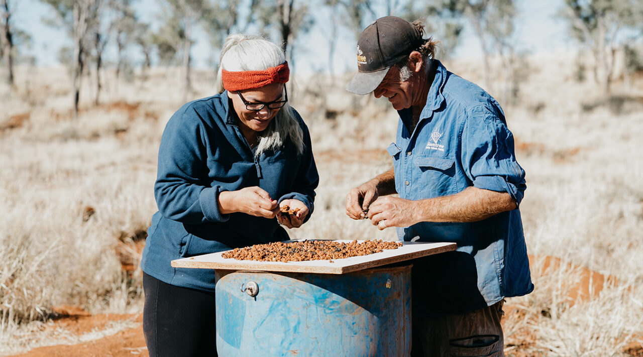 Fossicking Tours - Gemtree Caravan Park